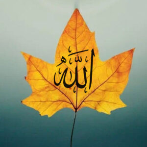 50+ Latest Allah Dp Profile Pic | 2023