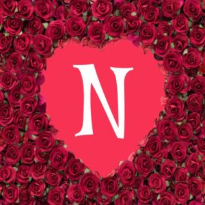 70+ N Name Dp For WhatsApp And Instagram | June 2026