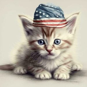 Amazing Cat DP pics for your Profile 2024