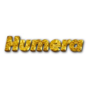 40+ Humera Name Dp Pictures For Girls Profile