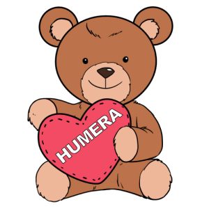 40+ Humera Name Dp Pictures For Girls Profile