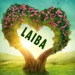 Laiba Name Dp: Girl Profile picture for whatsapp