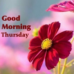 Good Morning Thursday Images, Wishes Pics