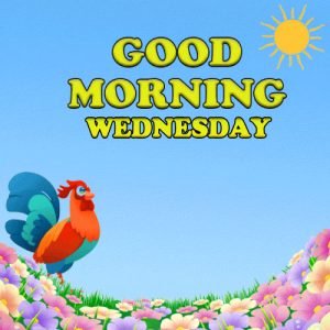 Good Morning Wednesday Images