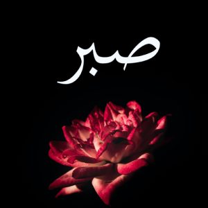 Sabar Dp Images for Status and Profile pic