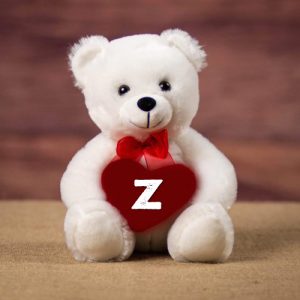 Z Name DP Pics for Boys and Girls Profile
